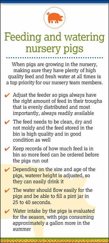 From Pigs to Pork – Seaboard Foods