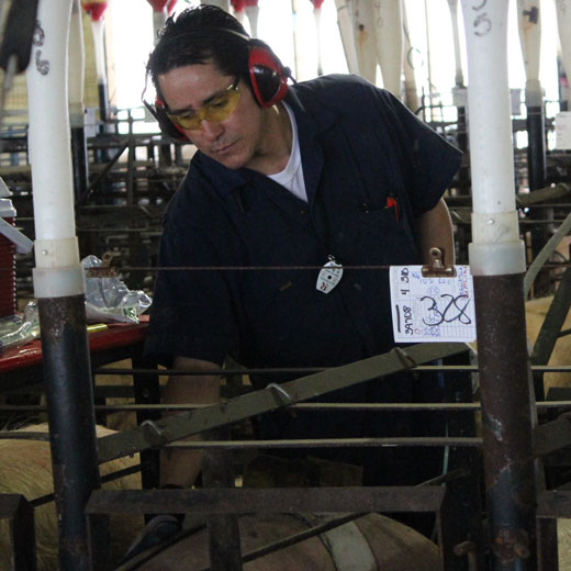 From Pigs to Pork - Seaboard Foods