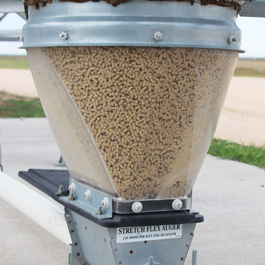 From Pigs to Pork - Seaboard Foods