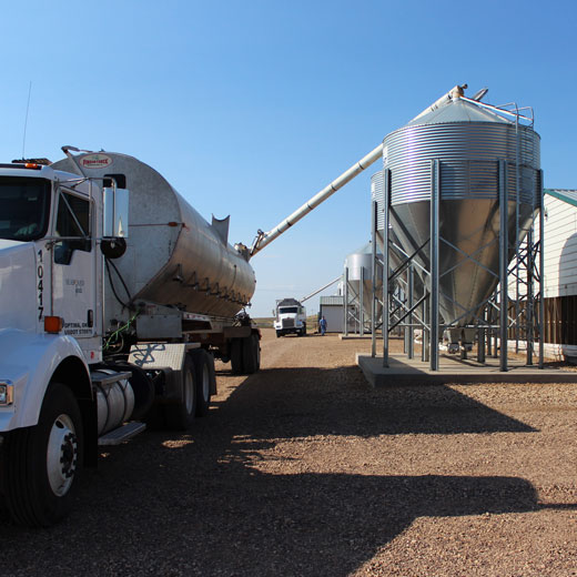 From Pigs to Pork – Seaboard Foods