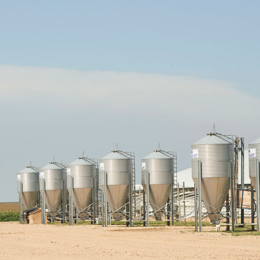 From Pigs to Pork – Seaboard Foods