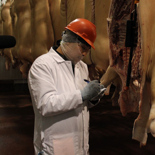 From Pigs to Pork - Seaboard Foods