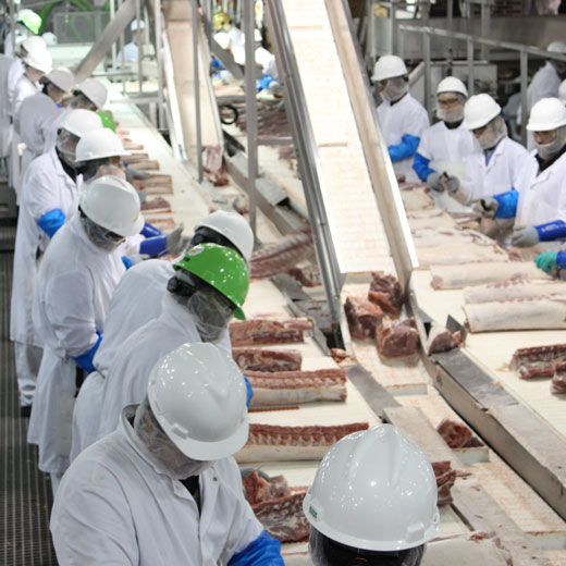 From Pigs to Pork – Seaboard Foods